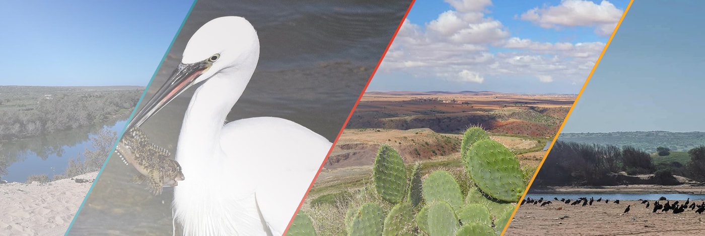 Oued Massa | Infos Tourisme Maroc